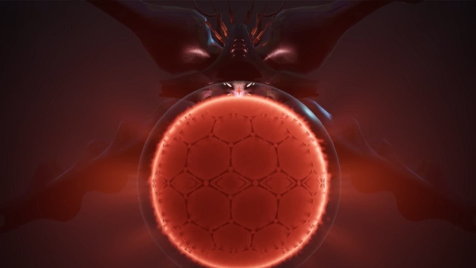 Cocoon - What We Know So Far