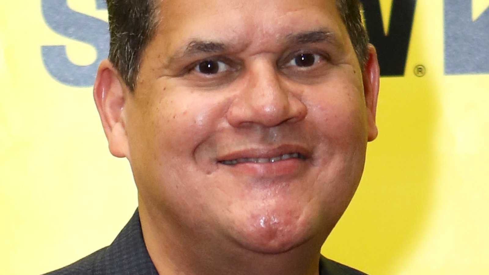 Nintendo Reggie My Body Is Ready