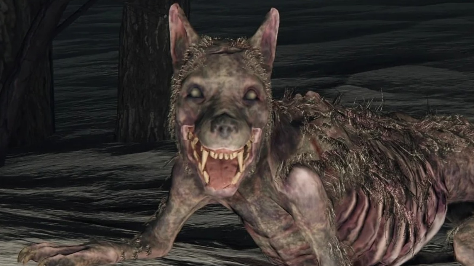 How To Pet The Dog In Elden Ring