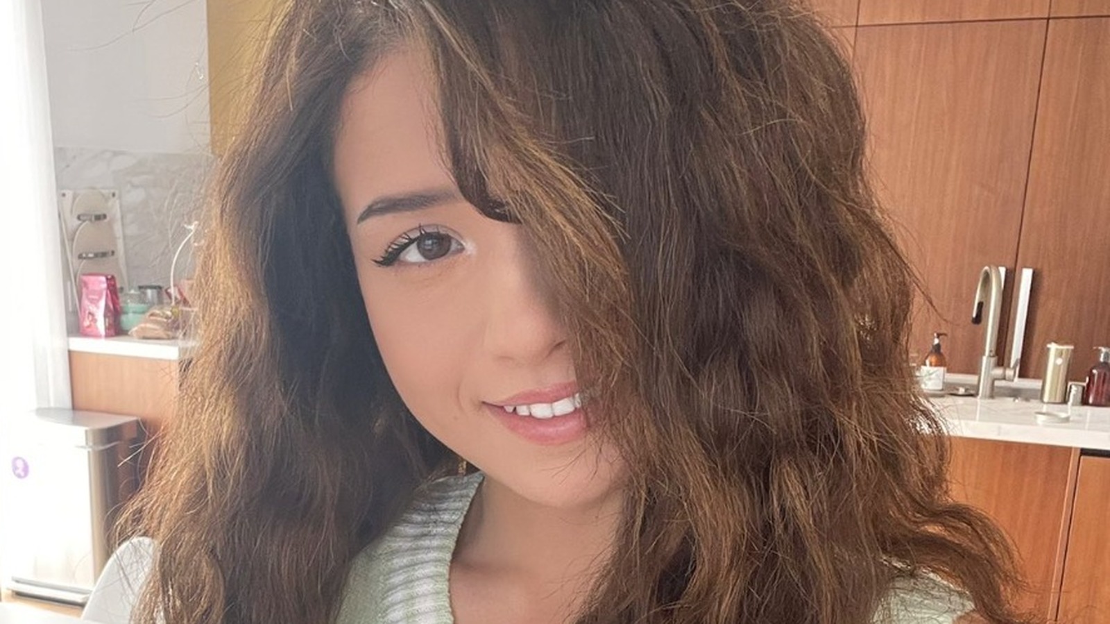 Pokimane Slams Makeup-Free Tweet Controversy