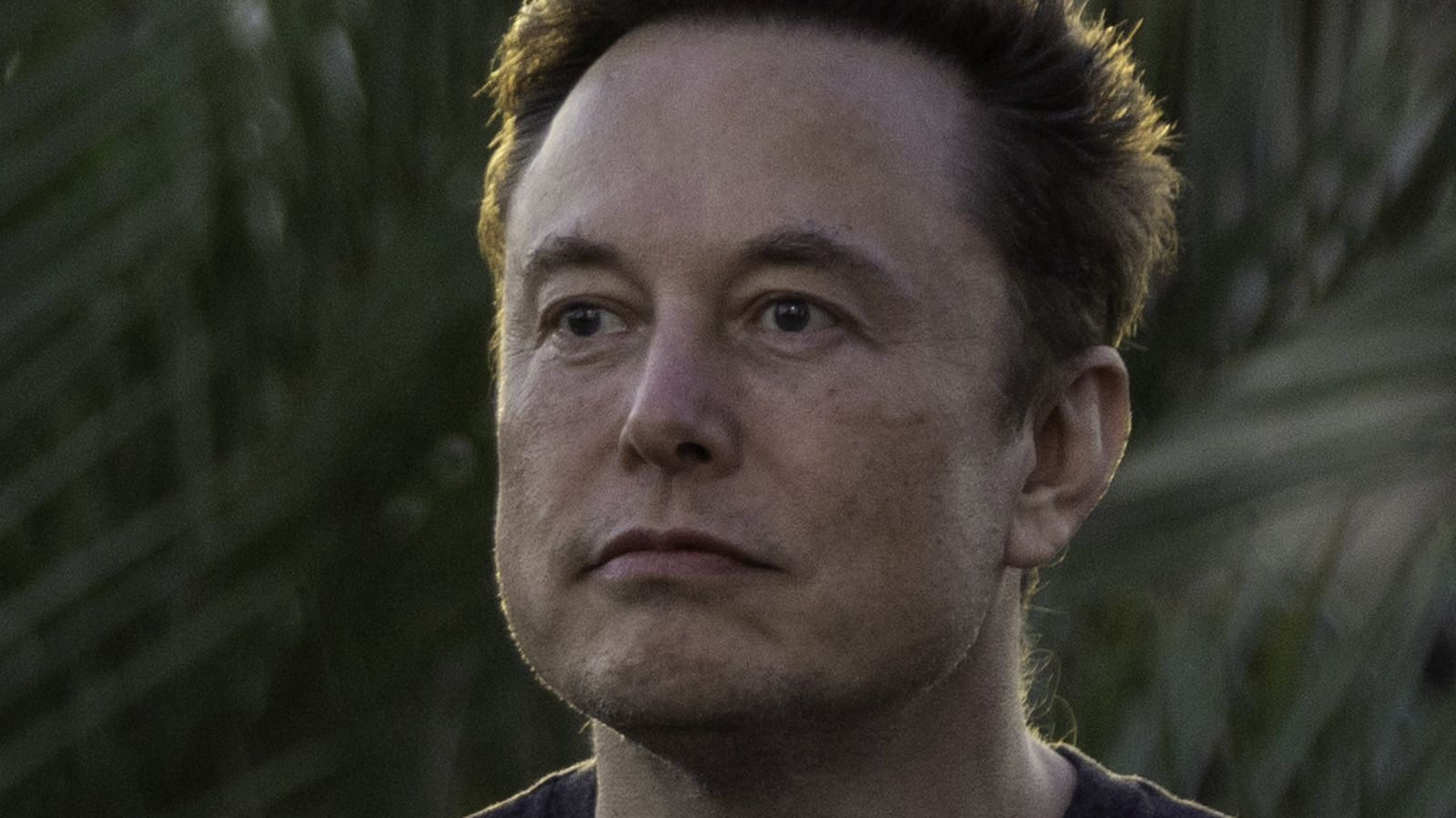 Streamers Slam Elon Musk's Twitter Changes