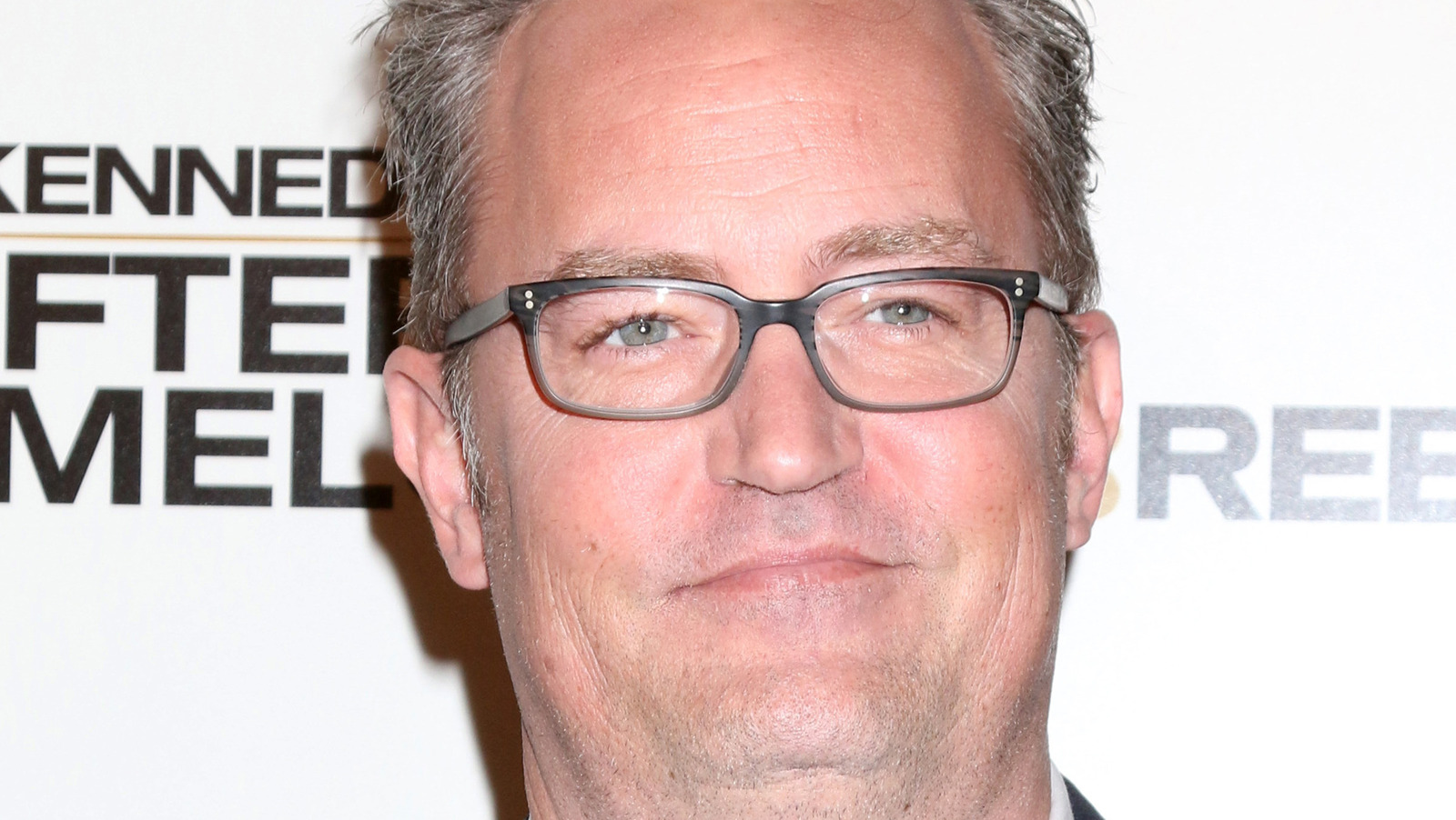 The One Video Game Character Matthew Perry Voiced After Friends