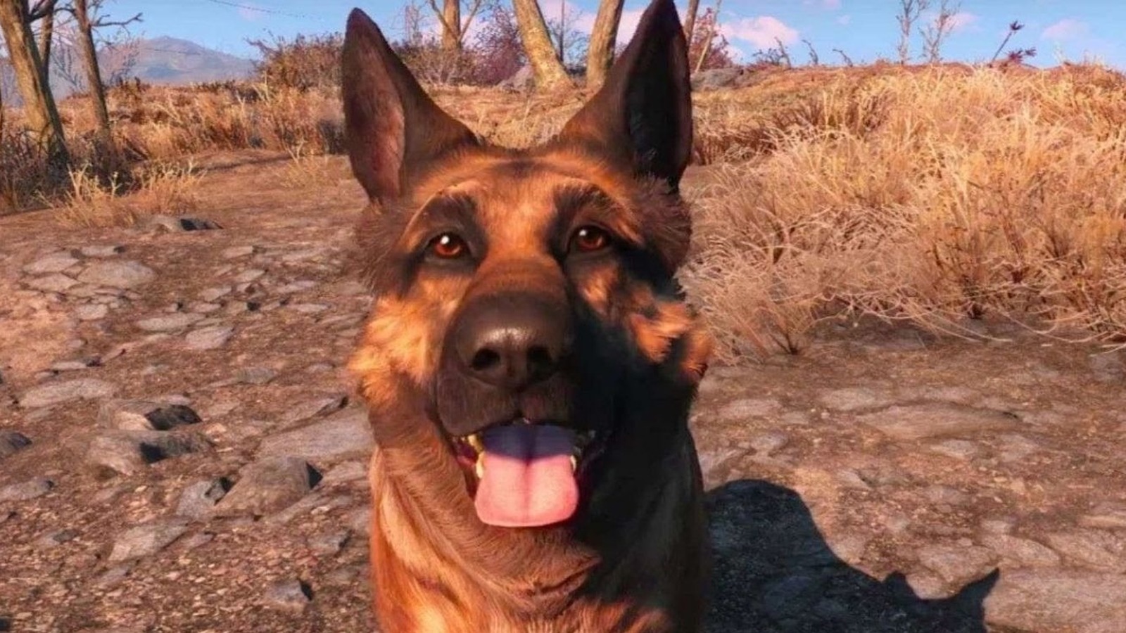 The Untold Truth Of Fallout 4's Dogmeat Model