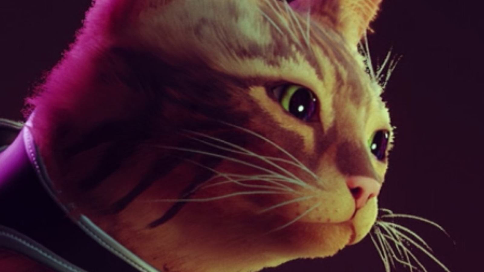 These Stray Mods Make The Game Even Better