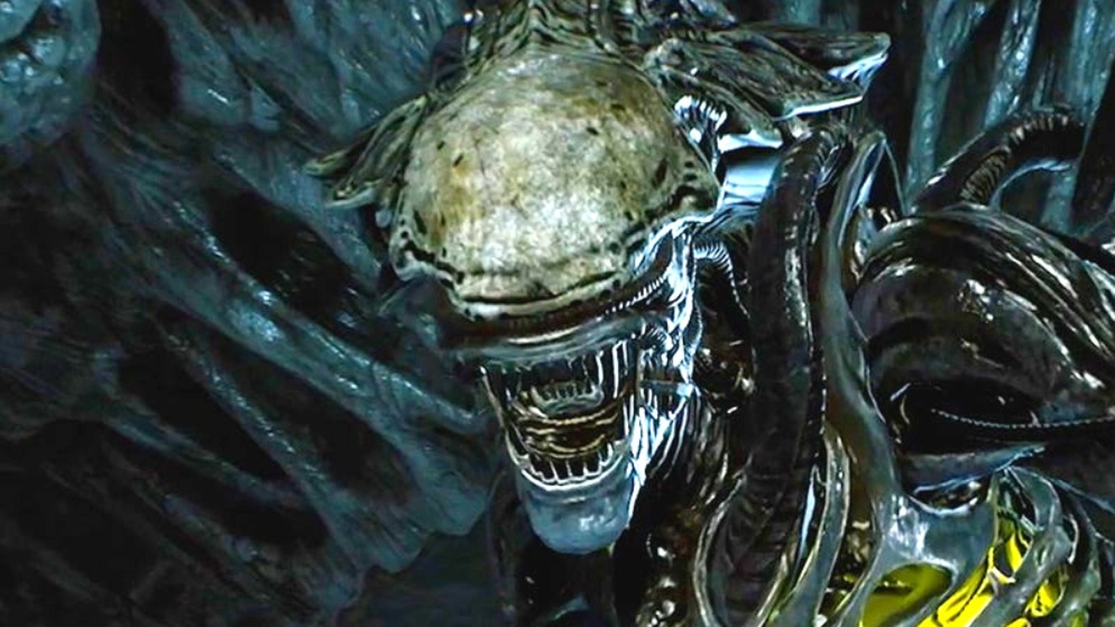 This Game Only Took Weeks To Lose Its Playerbase