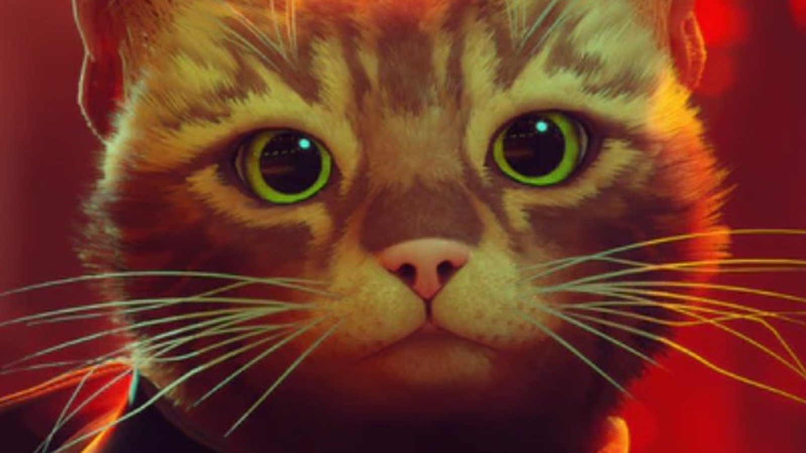 This Stray Mod Lets You Live Out Your Feline Dreams