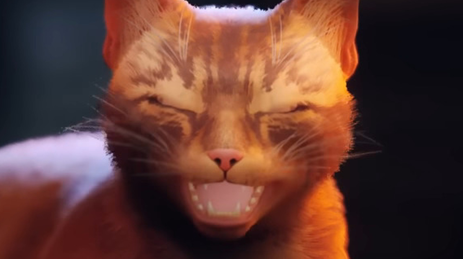 This Stray Modder Is Making Cat Owners' Dreams Come True