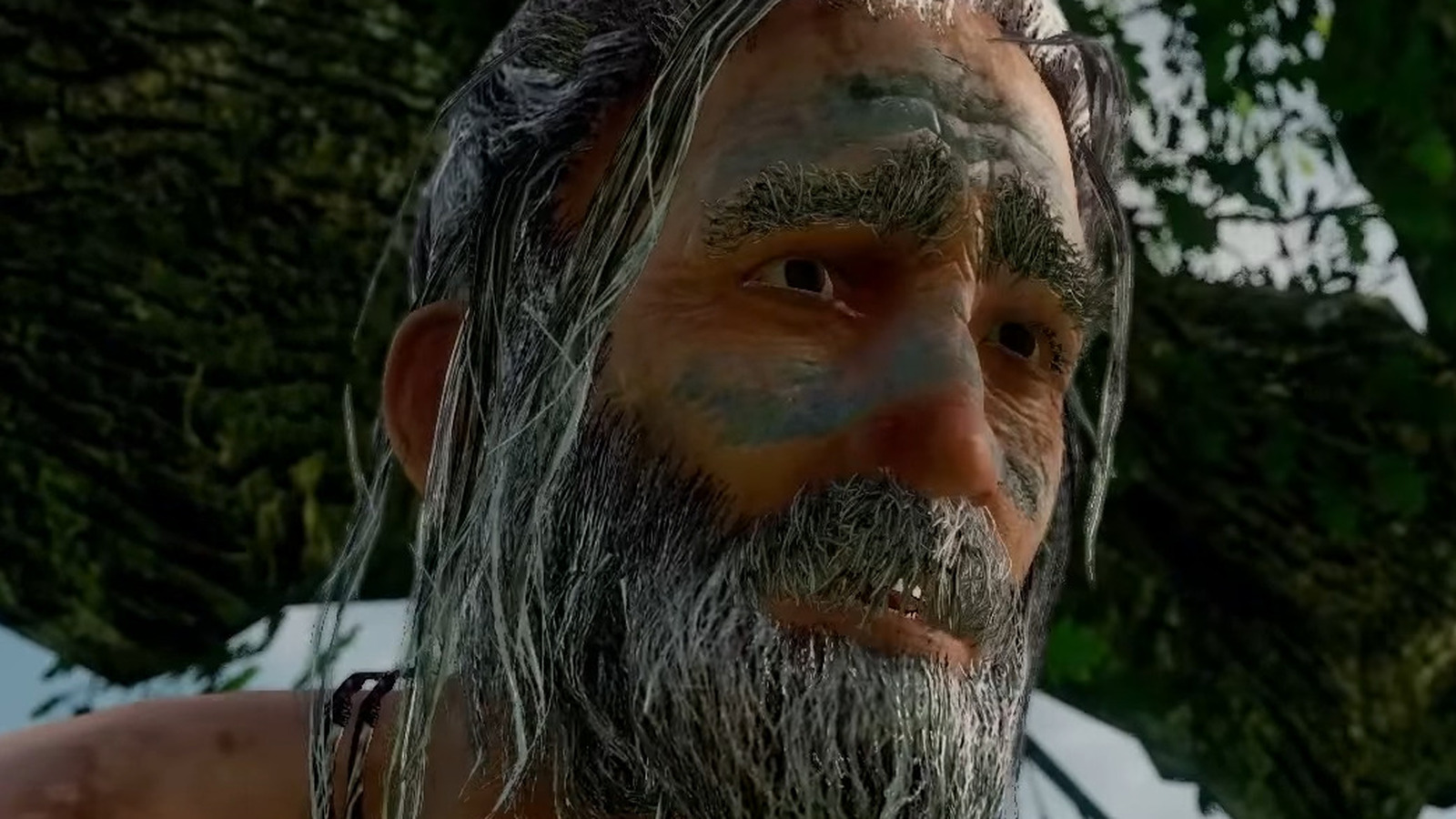 Whatever Happened To Sony's Wild?